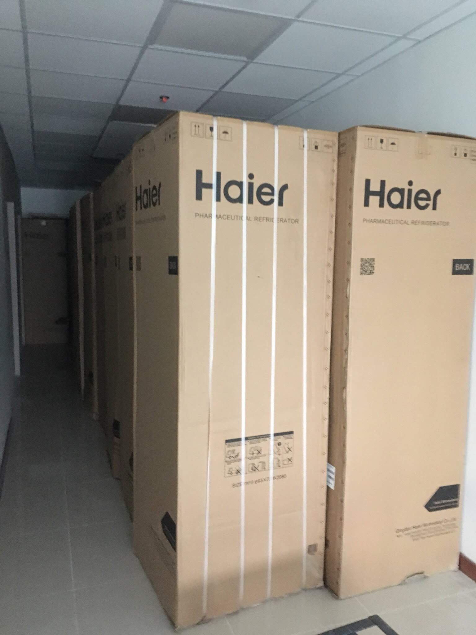 HYC-290 Tủ lạnh bảo quản dược phẩm 290 Lít - Lab.info.vn